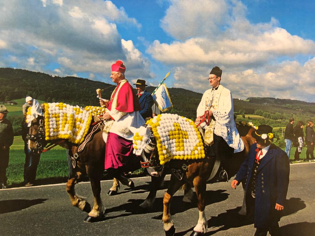 Biography – Gerhard Cardinal Müller